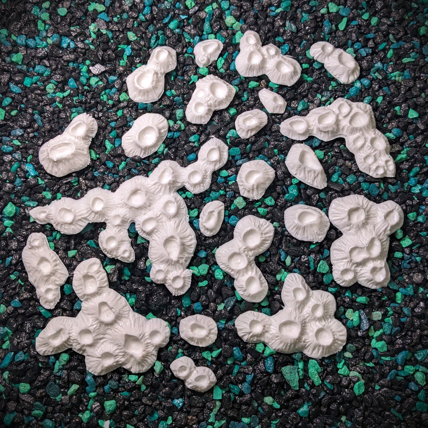 Paintable plastic shells + ocean life for mermaid tops + accessories ...