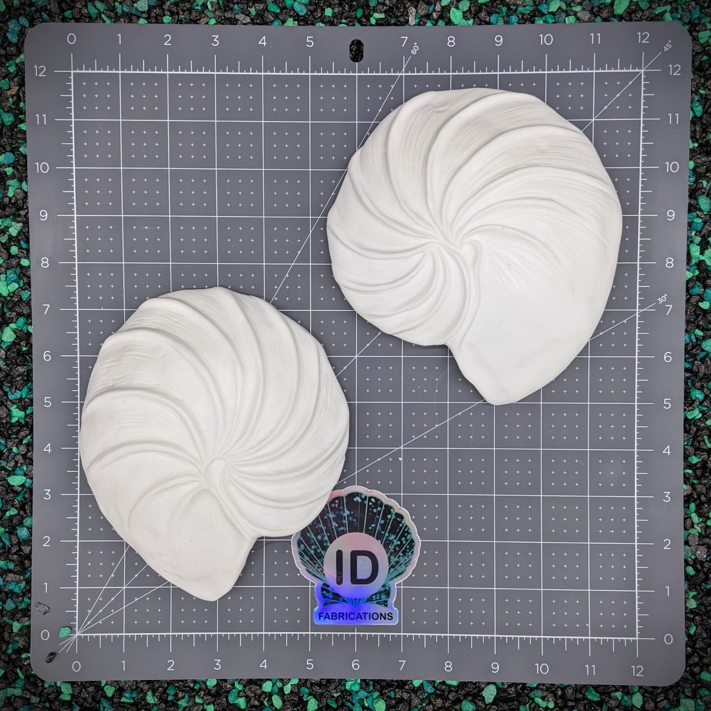 Cut Nautilus Shell Set – IDfabrications