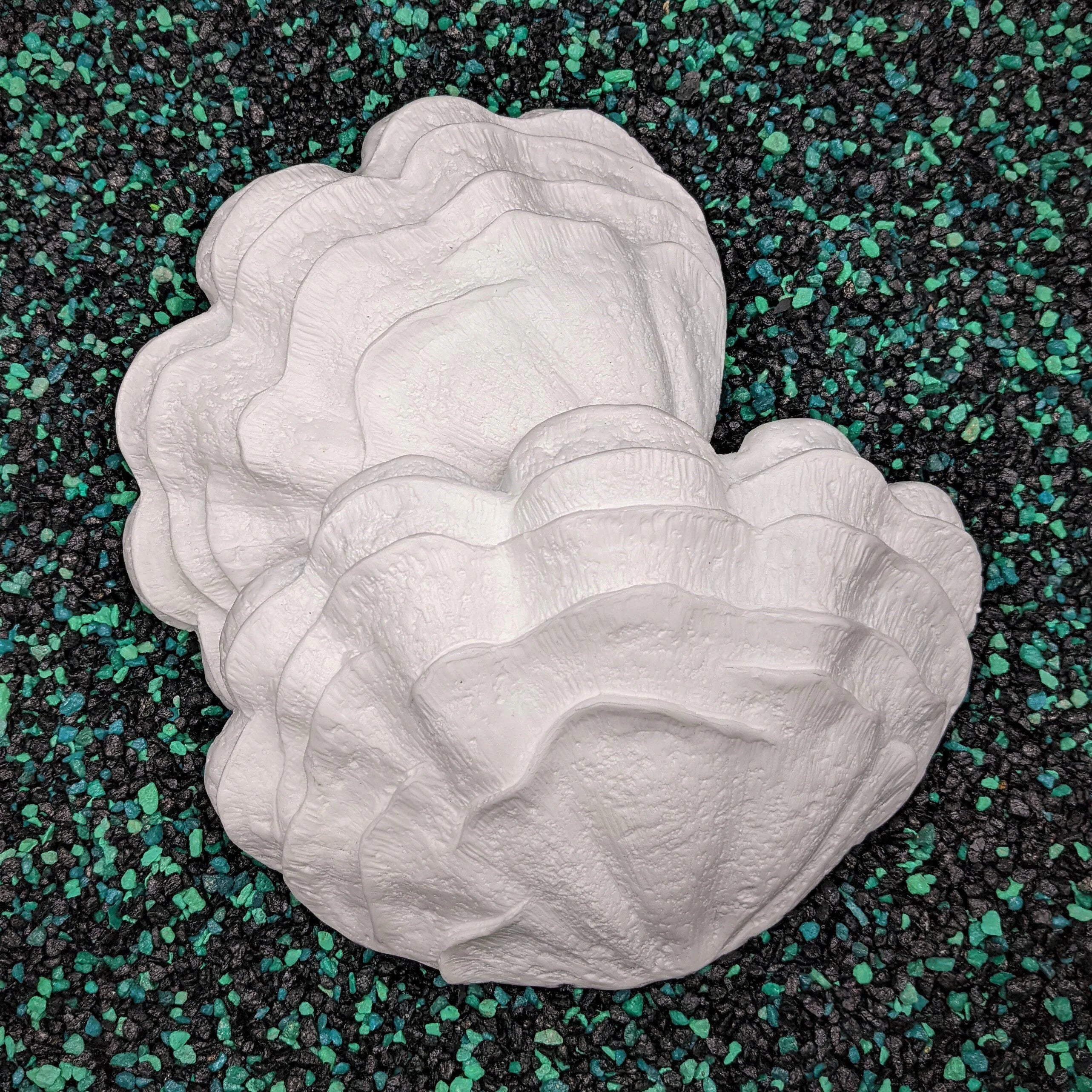 Giant Clam Shell Set IDfabrications